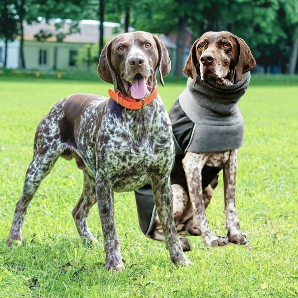 GSP Clothing – Gsplovers